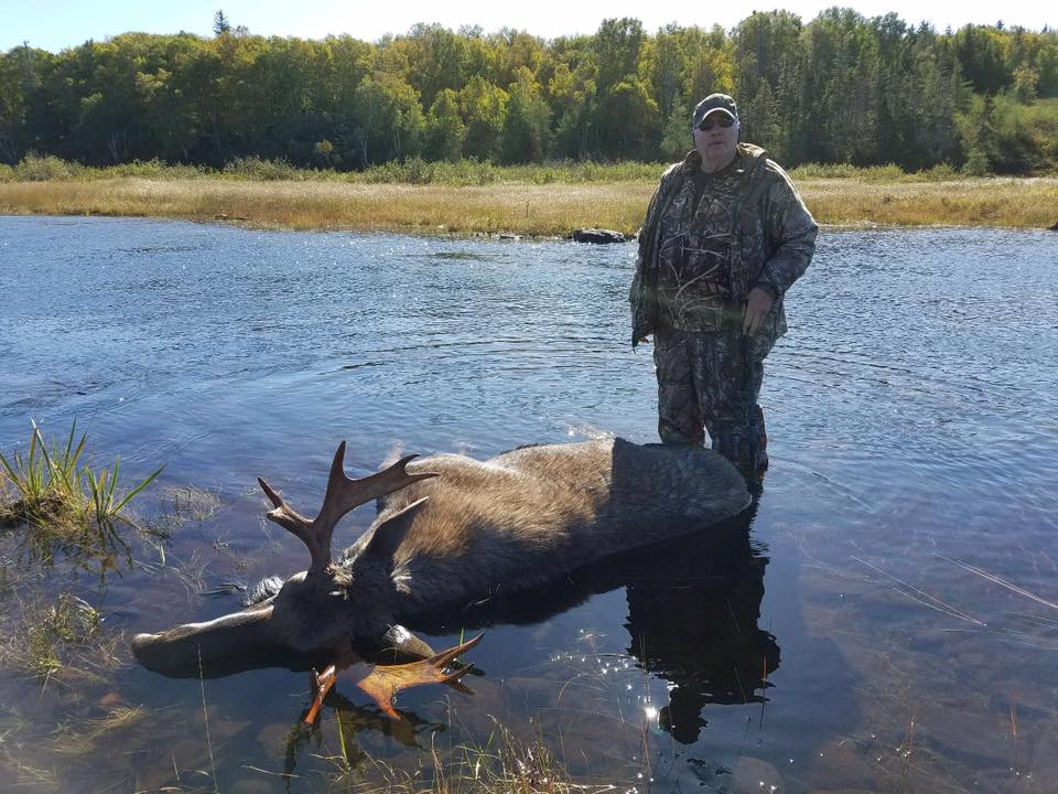 Gallery — Newfoundland moose hunting lodge, bear hunting and fishing ...